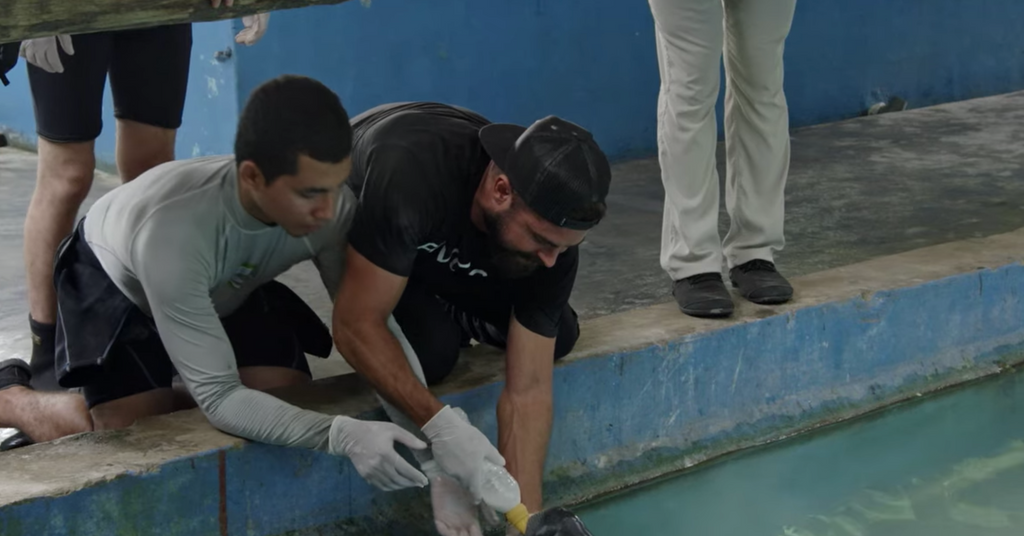 Zac Efron Stars in New Netflix Series ‘Down to Earth’