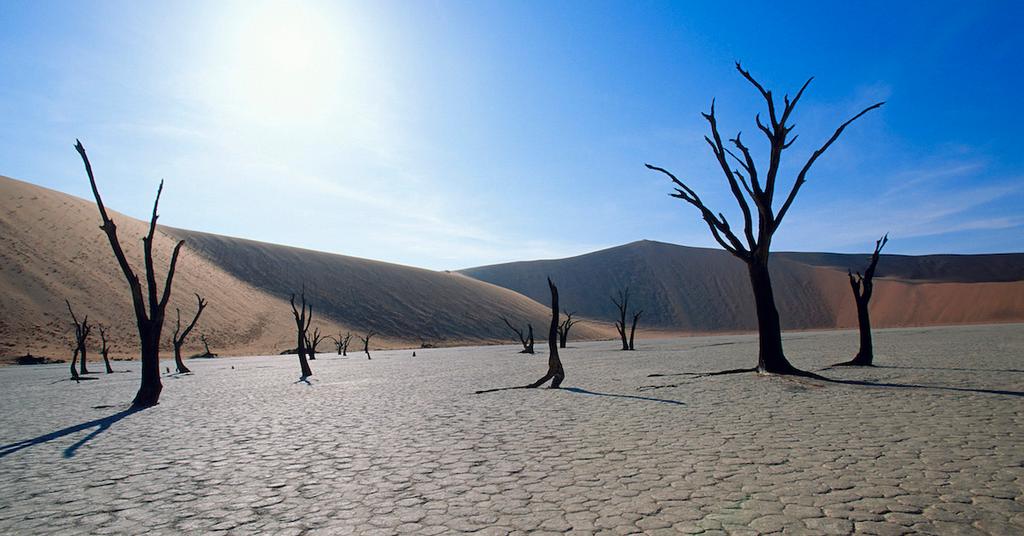 What Is Desertification?
