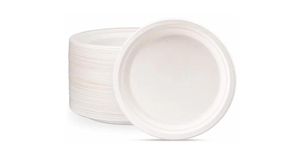 Eco-Friendly Disposable Plates Made of Clever, Compostable Materials