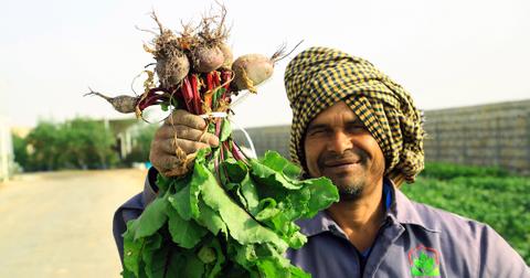 What Do Beets Taste Like? A Look at the Earthy Sweet Flavor