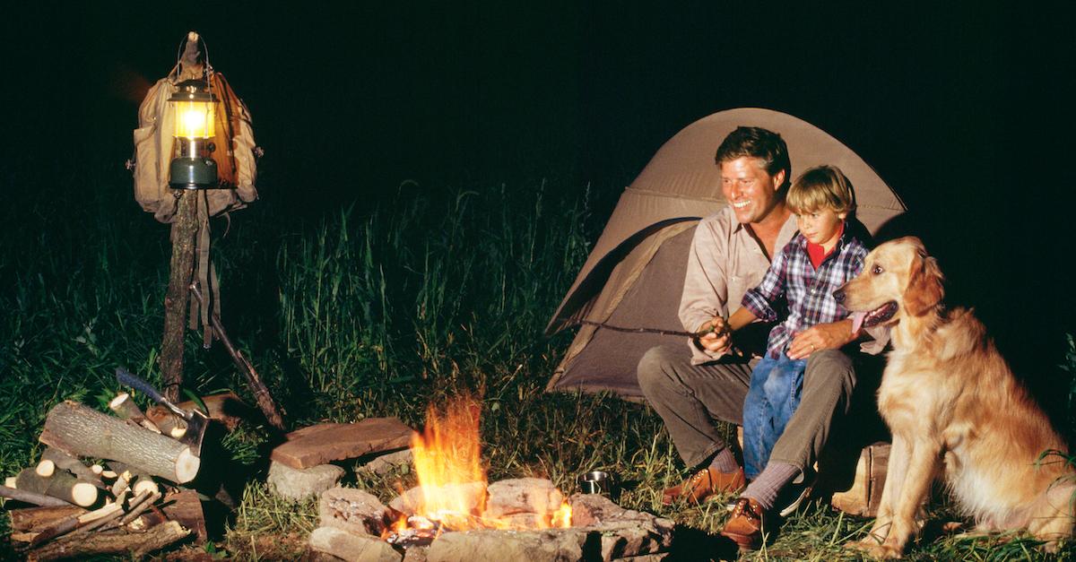 A Guide to Camping With Dogs, Just Before Summertime