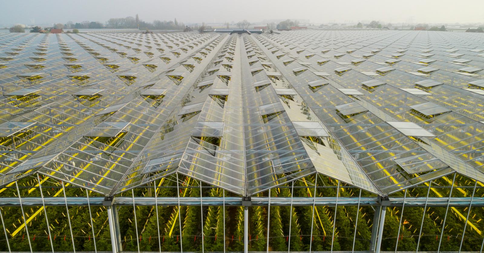 What Is the Greenhouse Effect? A Breakdown on the Process