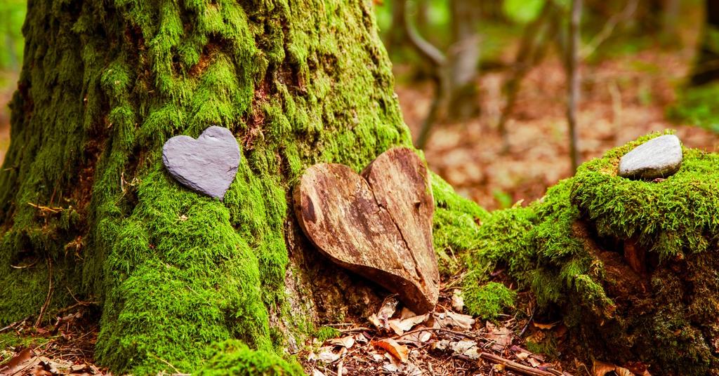 A Guide to Green Funerals, From Burial Methods to Celebrations