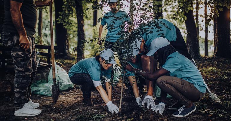 World Environment Day 2019: 5 Easy Ways to Fight Air Pollution Today