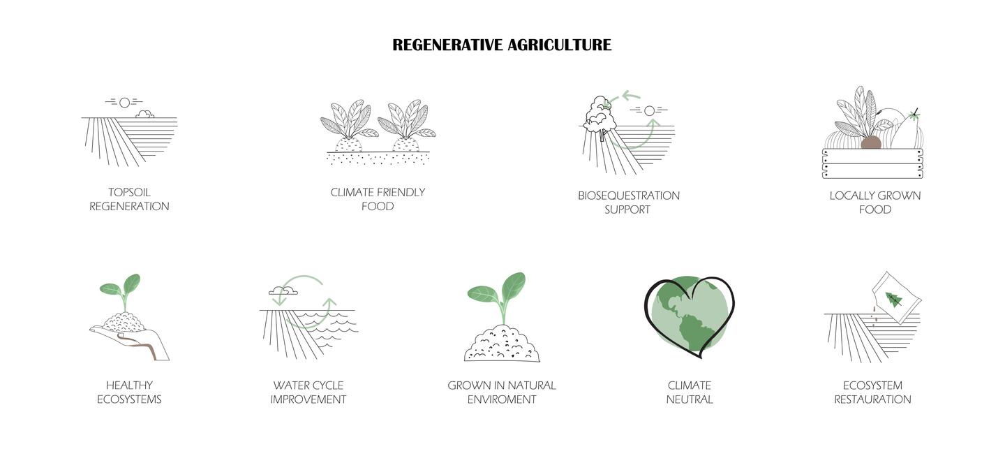 Regenerative Home Gardening Tips to Make Your Yard More Sustainable