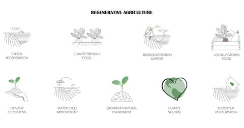 Regenerative Home Gardening Tips to Make Your Yard More Sustainable