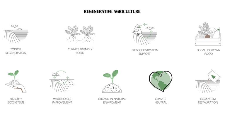 Regenerative Home Gardening Tips to Make Your Yard More Sustainable