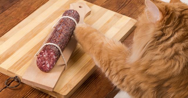 Can Cats Eat Pepperoni? Here’s What Vets Say