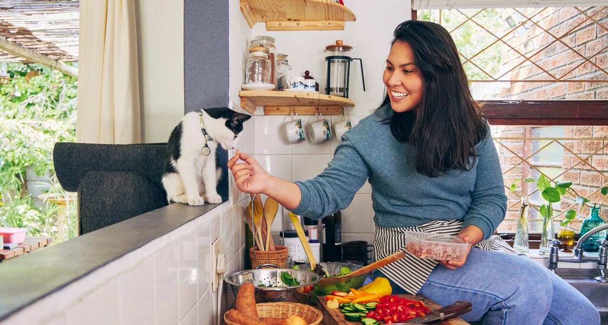 Can Cats Taste Spice? Cat Taste Buds, Explained