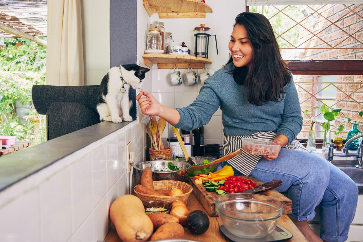 Can Cats Taste Spice? Cat Taste Buds, Explained