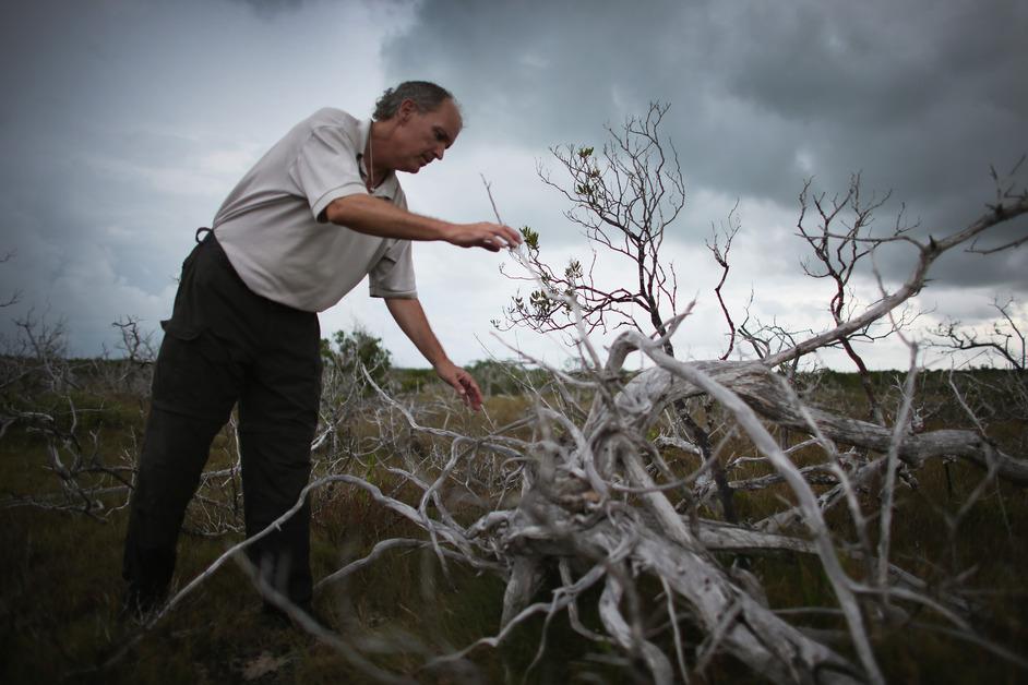 What Do Ecologists Do?