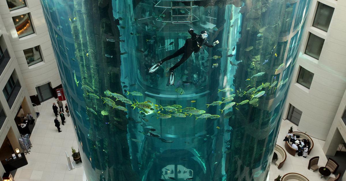 Berlin AquaDom Aquarium Explosion at Radisson Blu