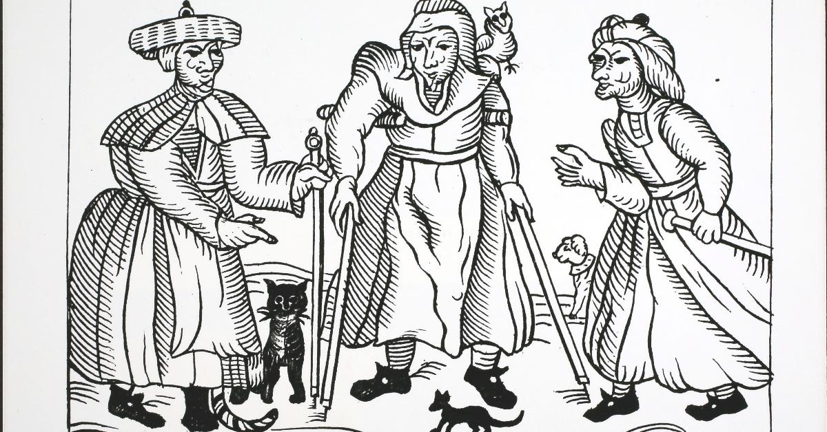 Why Don’t People Like Black Cats? Here's What to Know