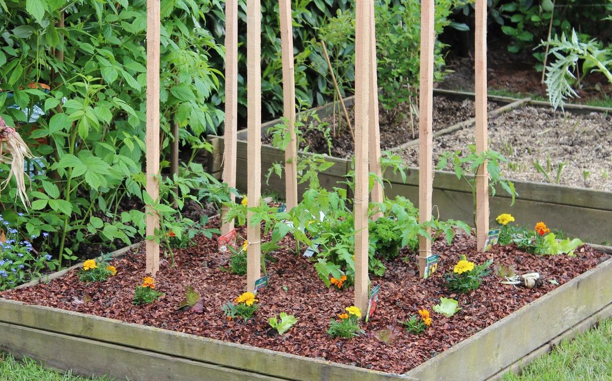 What Is Electro Culture Gardening?