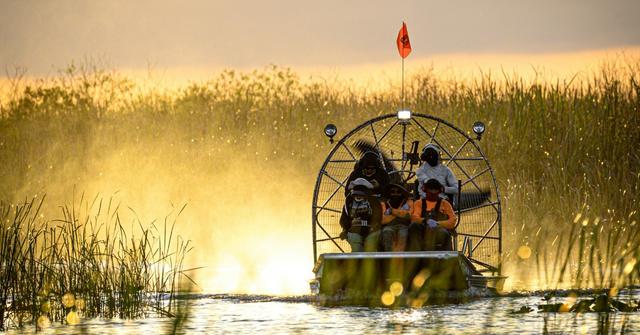 What Caused the August 2025 Everglades Fire in Florida?