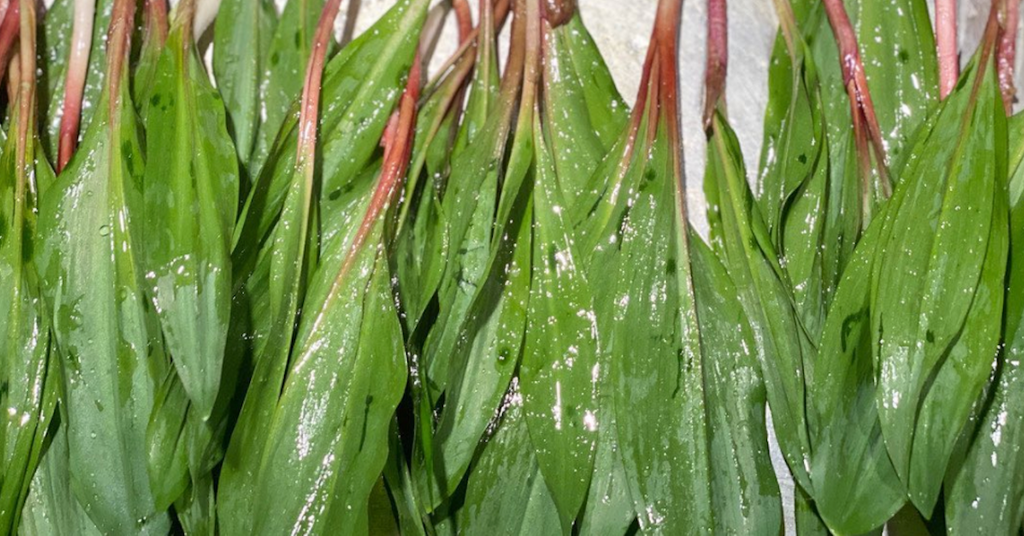 Foraging: What It Is, How to Get Started, and More