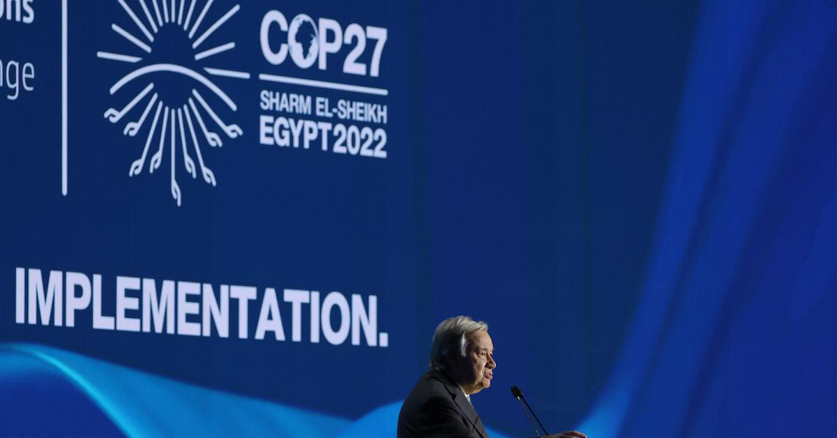 COP27 Under Fire for Serving Meat — but Cultured Chicken Excites Guests