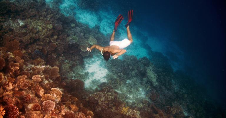 What Is the Deepest Part of the Ocean? How Much Ocean Is Unexplored?