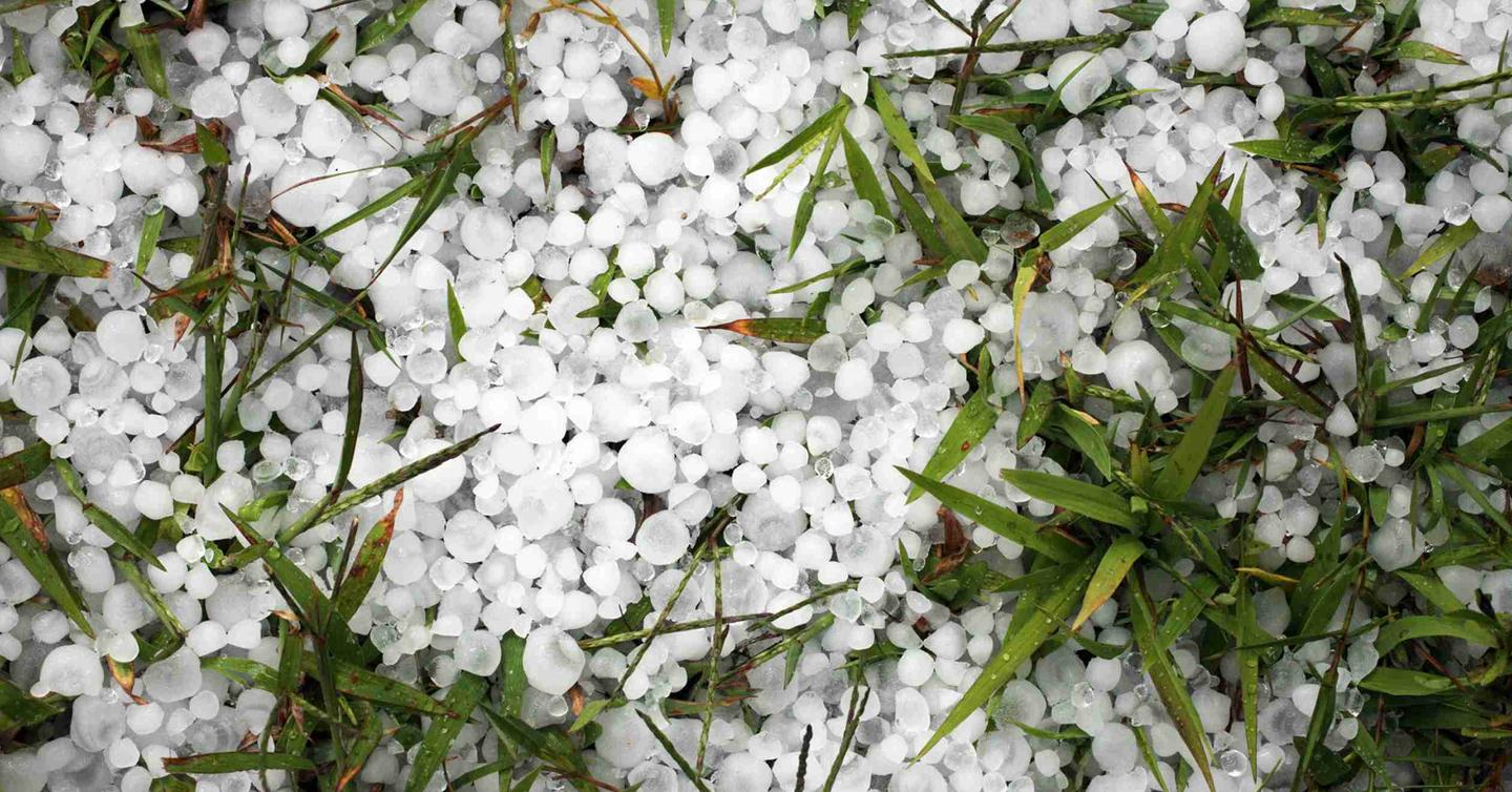 All About the 2025 Hail Storm in Paris