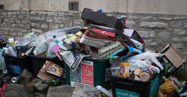 Is Cleaning Recyclables Necessary or Just a Waste of Time?