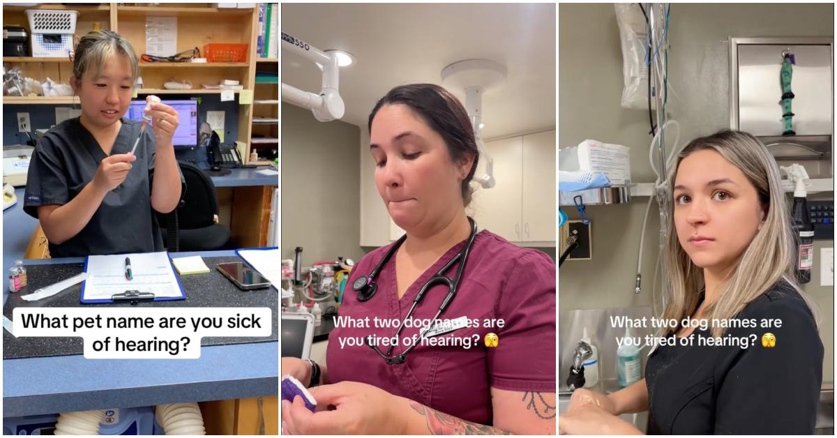 Vet Techs Share Pet Names They're Sick of Hearing
