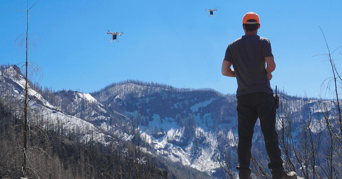 DroneSeed Is Helping Reforest the PNW After Rampant Wildfires