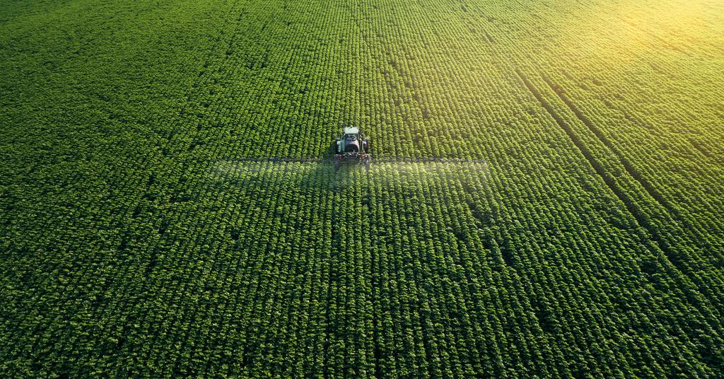 Monocropping – What Is It and How It’s Hurting the Environment