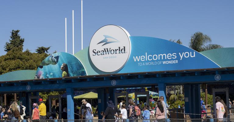 The Dark Side of SeaWorld and Animal Abuse
