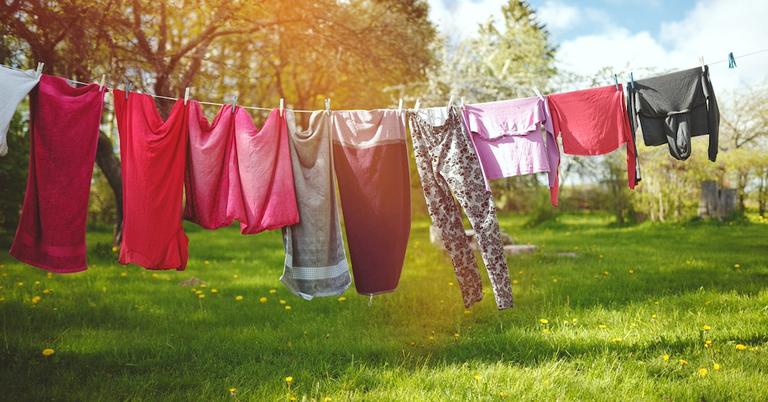 Does Goodwill Wash the Clothes It Sells? Know Before You Wear