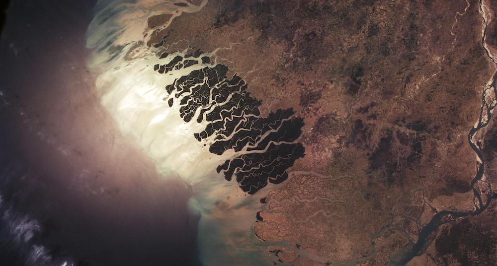 What Caused the Pollution in the Ganges River?