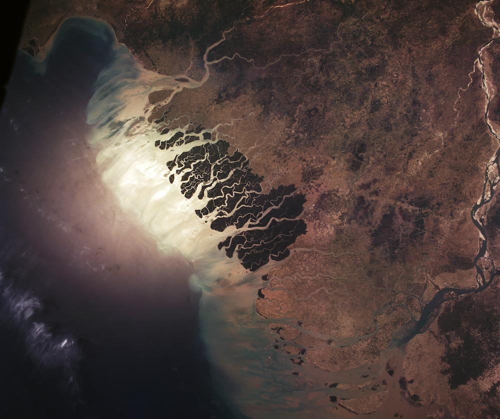 What Caused the Pollution in the Ganges River?